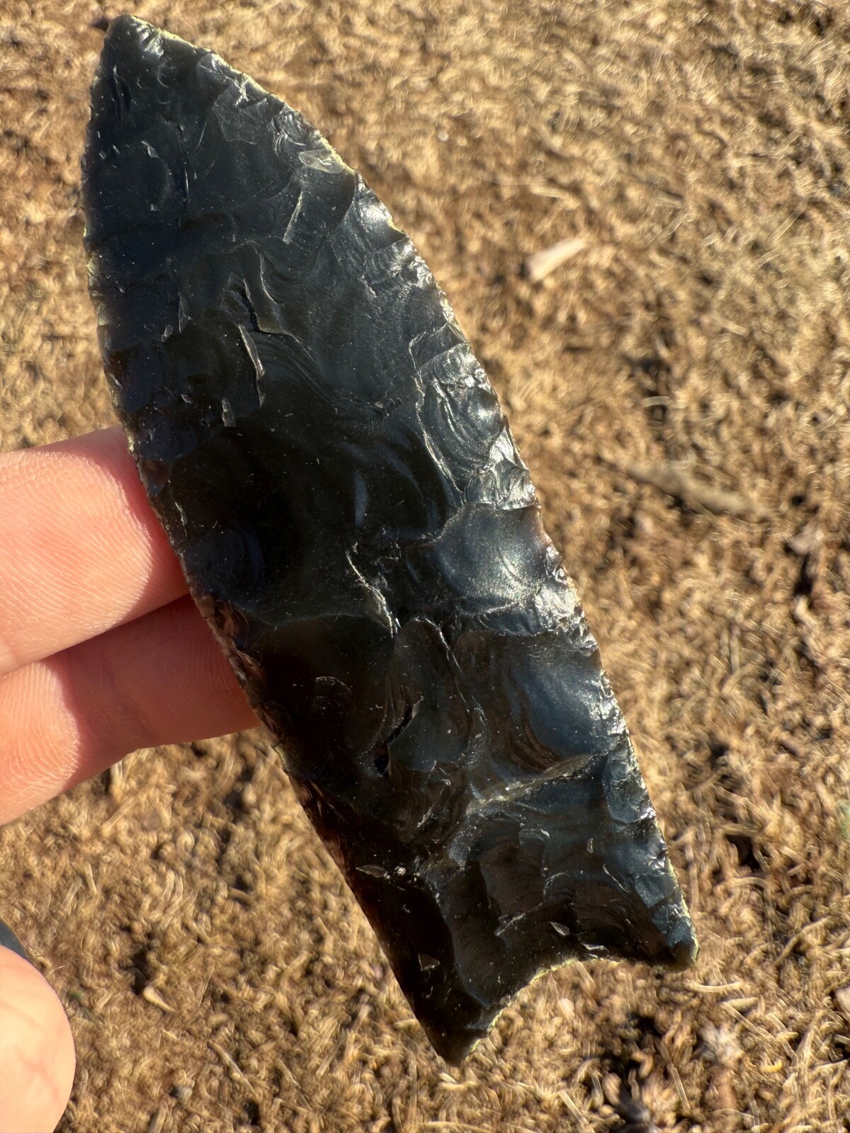 paleo plainview point arrowhead artifact OR coa | eBay