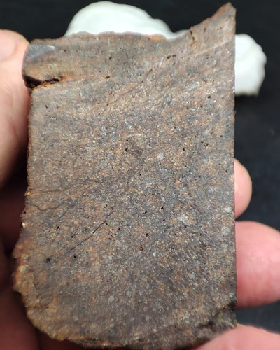 142g L5 type NWA Northwest Africa Meteorite Enstatite chondrite EL-melt ...
