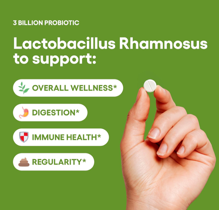 Lactobacillus Rhamnosus 240 Tablets 3Billion CFU Probiotic Travel ...