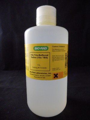 Bio Rad 10x Tbs Recipe | Bryont Blog