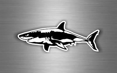 Sticker car moto biker bomb jdm decal bumper tuning shark r2 | eBay