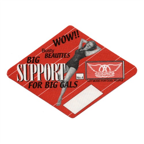 Aerosmith 1998 Nine Lives Concert Tour Support Backstage Pass | eBay