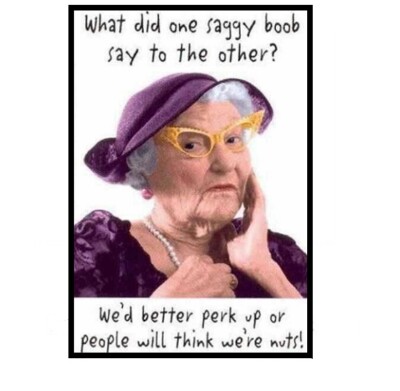 707 - Funny Saggy Boobs Meme Fridge Refrigerator Magnet | eBay