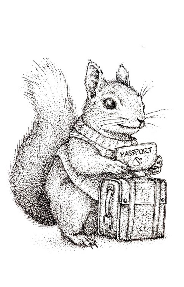 Original ACEO Traveling Squirrel Ink Art Medium Marker on Paper Signed ...