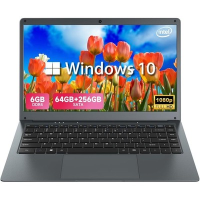 14" FHD Lightweight Laptop, Intel Celeron N3350 Laptop Computer, Gray ...