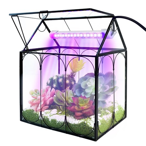 Plant Terrarium with Grow Light, Indoor House Shape Glass Terrarium Kit ...