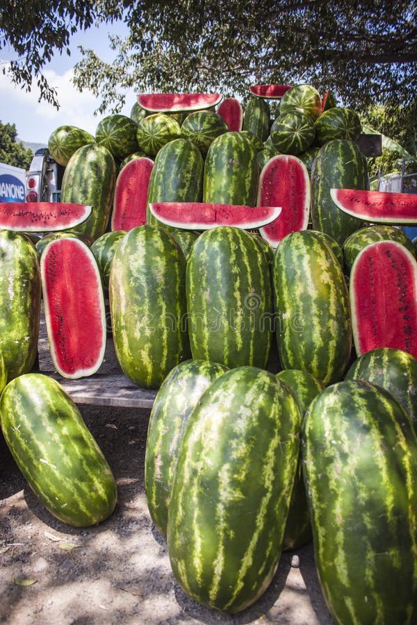 Watermelon seeds,150 rare seeds Royal Majestic Watermelon sweet-920 ...