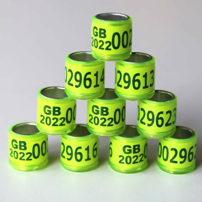 100pcs x 2024 Year Aluminum Bird Racing Pigeon Leg Rings Bands for ...