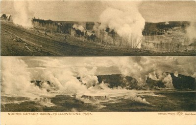 RARE HAYNES YELLOWSTONE POSTCARD, SEPIA UNDIVIDED BACK, NORRIS GEYSER ...