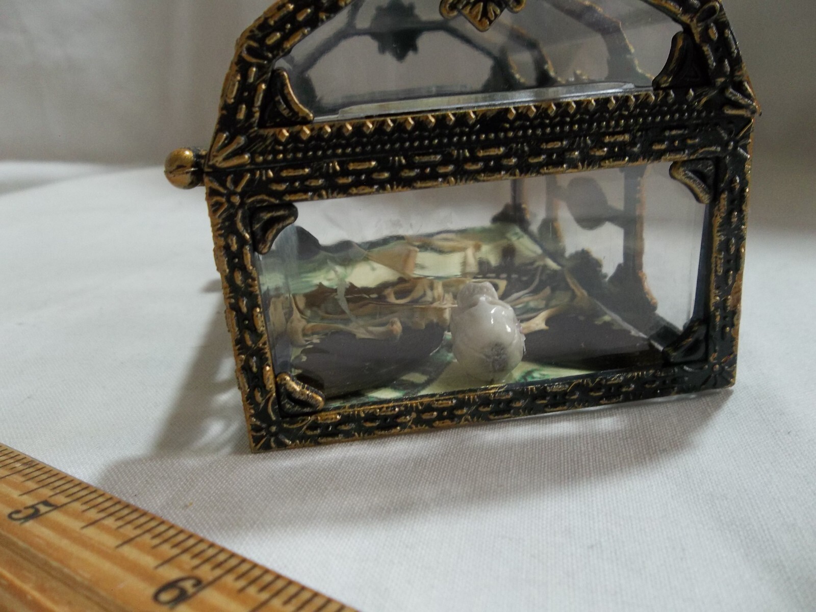 Dead Fairy Forensic Bones Fancy Display Box Sideshow Gaff Oddities ...