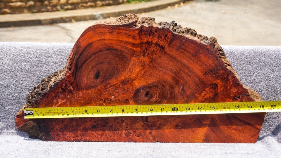Rare!! AMBOYNA BURL LUMBER Live Edge DIY Table Top Wood Resin Epoxy ...