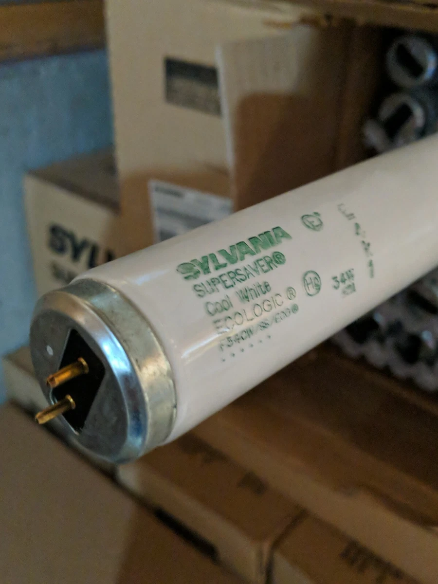 F40cw Light Bulb | Shelly Lighting