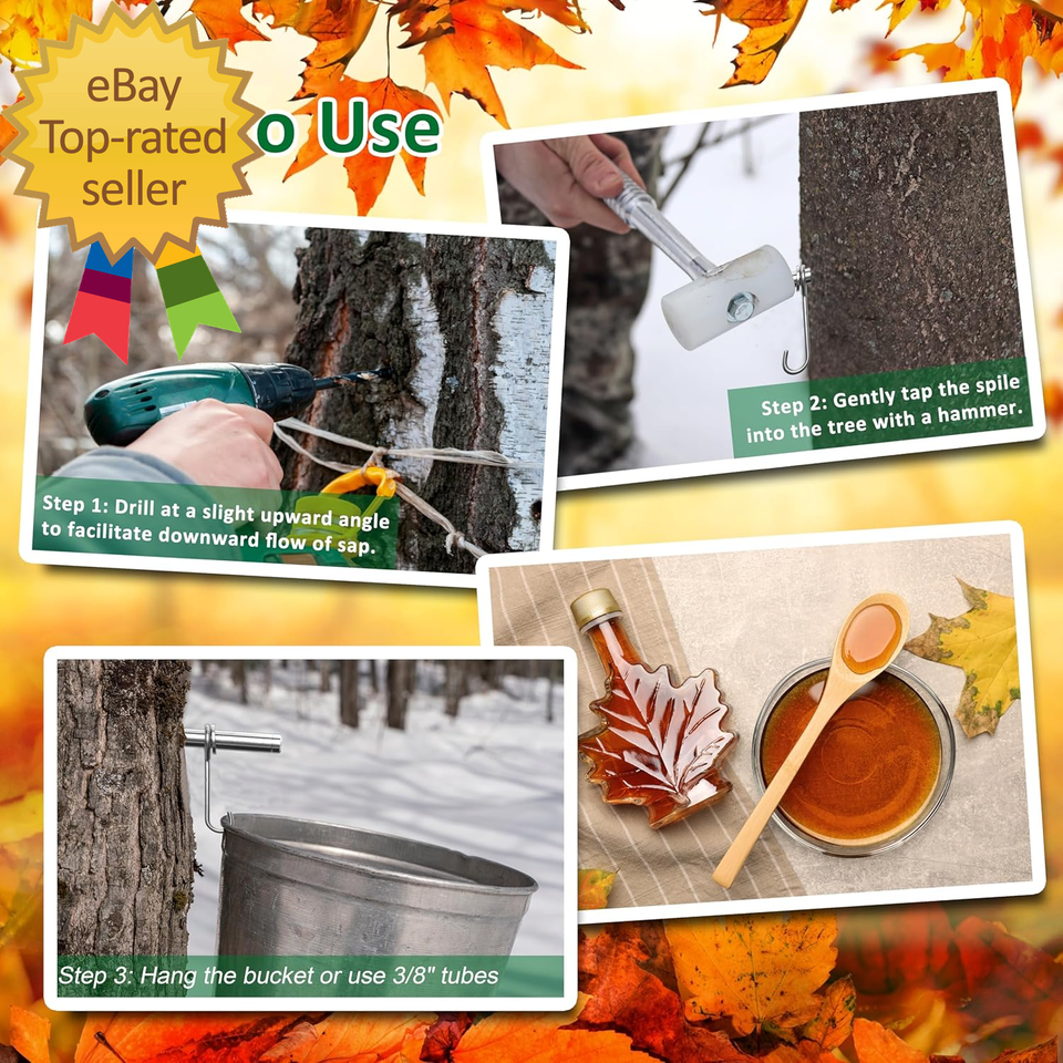 Stainless Steel Maple Syrup Taps Kit Spiles for Tapping Trees 3 Spiles ...