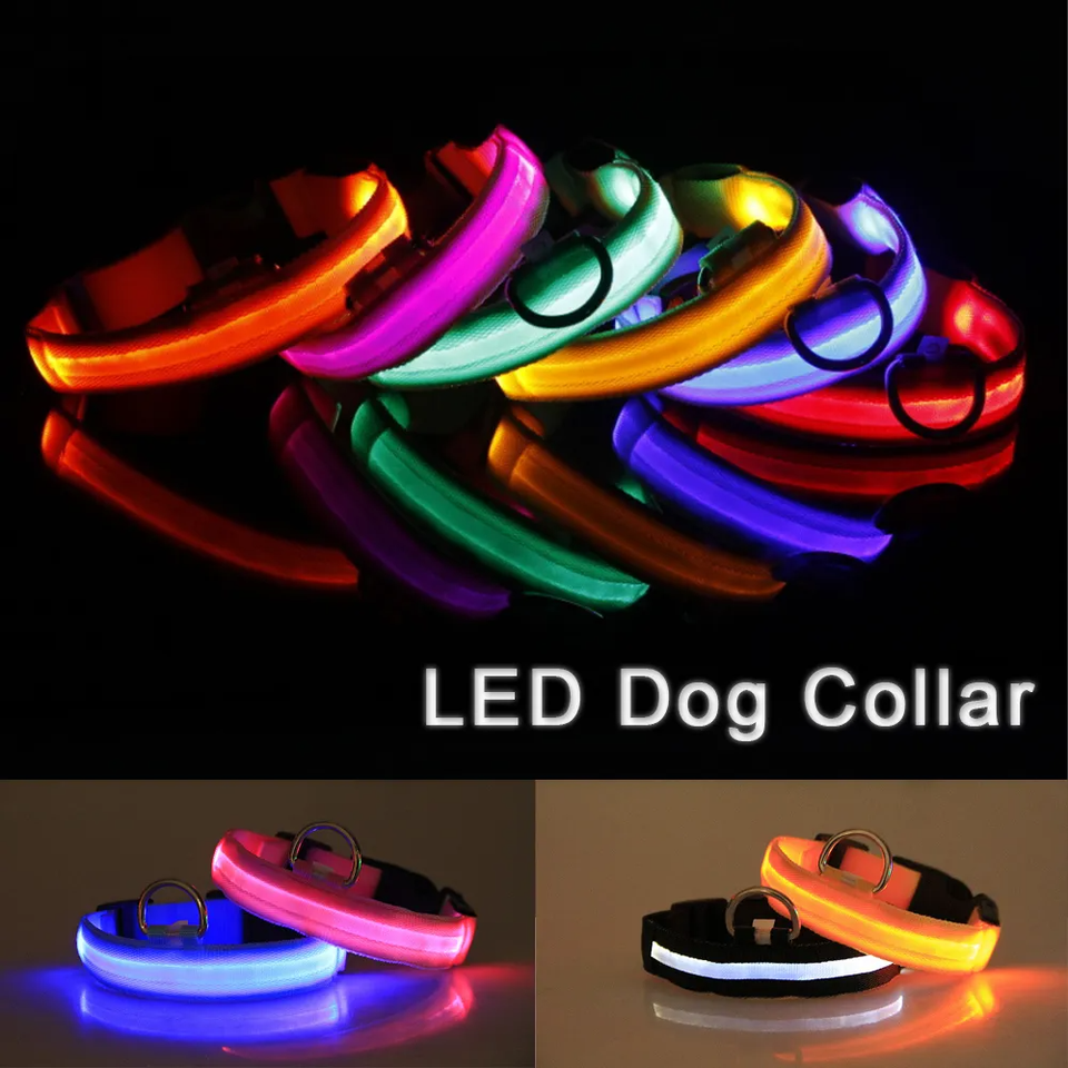 LED Adjustable Dog Collar Blinking Flashing Light Up Glow Pets Safety ...