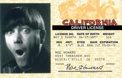 Moe Howard of The Three Stooges novelty collectors fake ID card Drivers ...