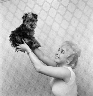Cockney actress Barbara Windsor at home 12th February 1960 1968 Old ...