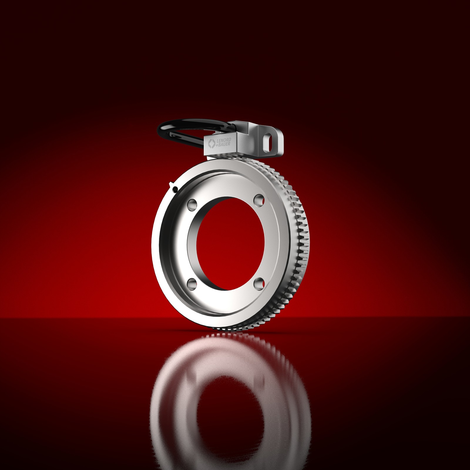 Lenord+Bauer 2444MZPG3K250-, MiniCODER GEL | eBay