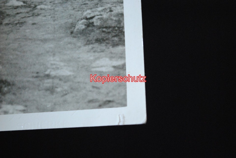 Foto AK Mann m. Eisbär Eis Bär icebear bear Schierke am Brocken ...