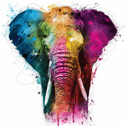 Elephant Multi Colour wall art printed on canvas 22 X 22 inch solid ...