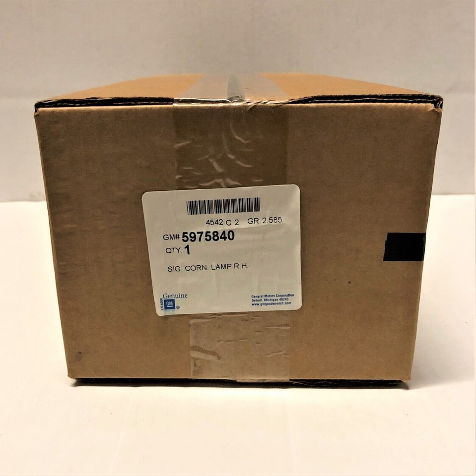 1992-1996 Buick Roadmaster Turn Signal Cornering Lamp Light Lens Emblem ...