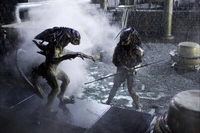Sci Fi Alien vs. Predator Movie Scene Photo Print 8 x 10 | eBay
