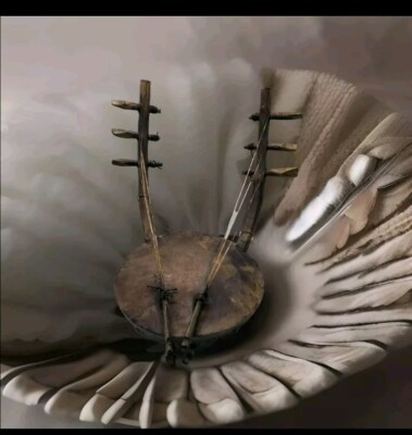 African Bolon Calabash Gourd Guitar Musical Instrument 13"x9"x2.5" | eBay