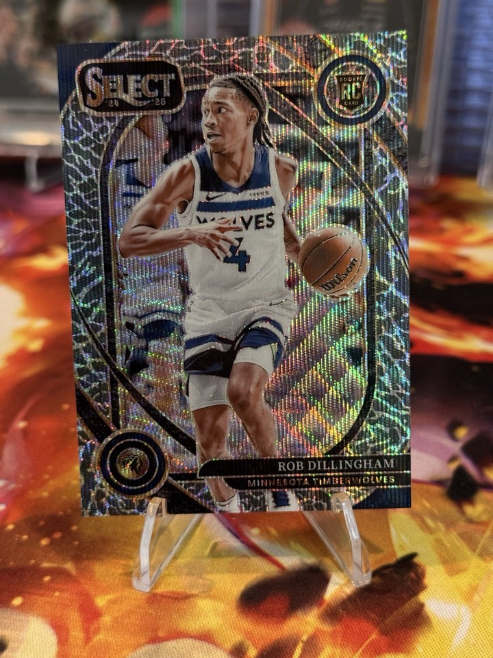 2024-25 Select Rob Dillingham RC #288 COURTSIDE Elephant Prizm SSP Case ...