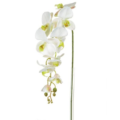 Orchid Phalaenopsis Artificial Silk Trailing 98cm White | eBay UK
