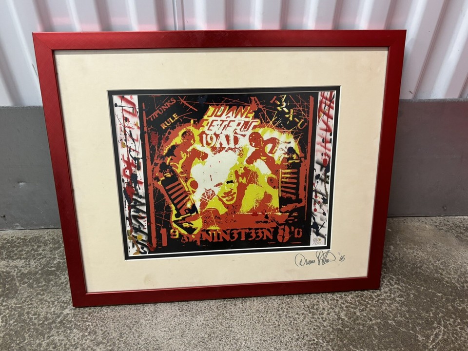 DUANE PETERS PUNK ROCK SKATE ART PIECE 19AD framed signed 01/06 | eBay