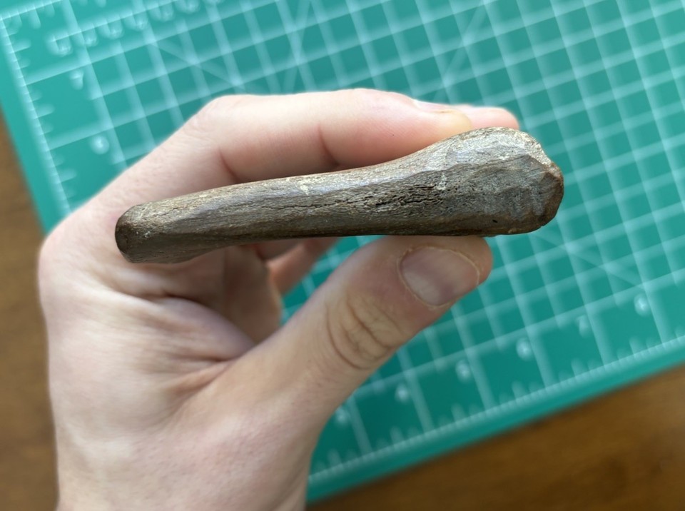 Neolithic Prehistoric Artifact Antler Pressure Flaking Tool For Flint ...
