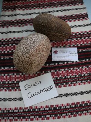 Sikkim Cucumber - Indian variety - 10+ Seeds - Graines - Semillas ...