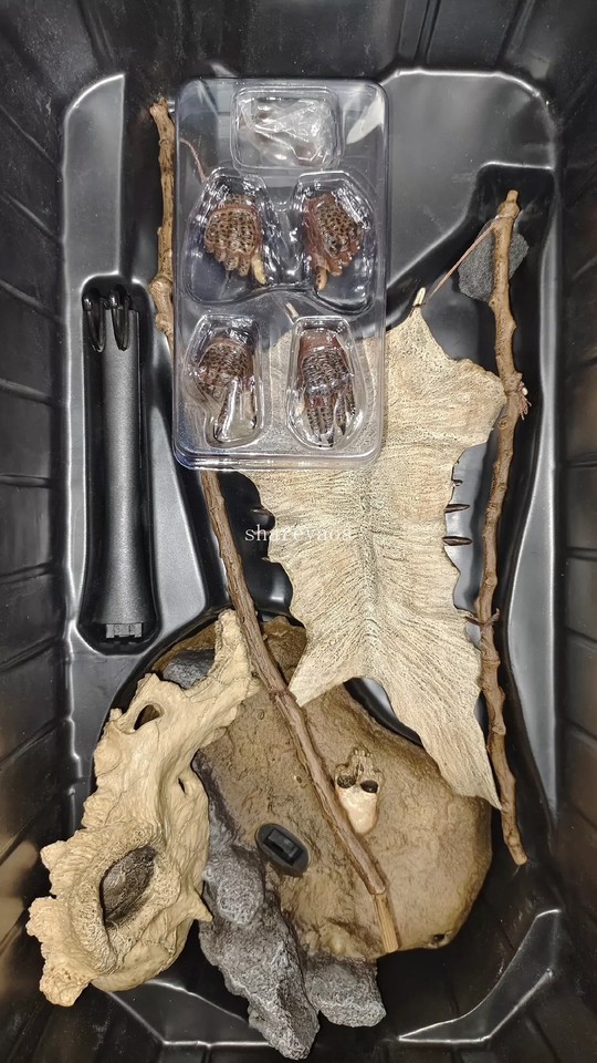 Hot Toys MMS162 Predators Classic Predator Action Figure Normal Ver in ...