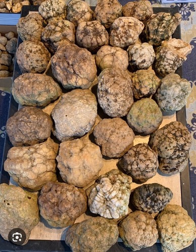 Break Your Own Geodes Gift Box (4 LARGE pcs) Unopened Indiana Crystal ...