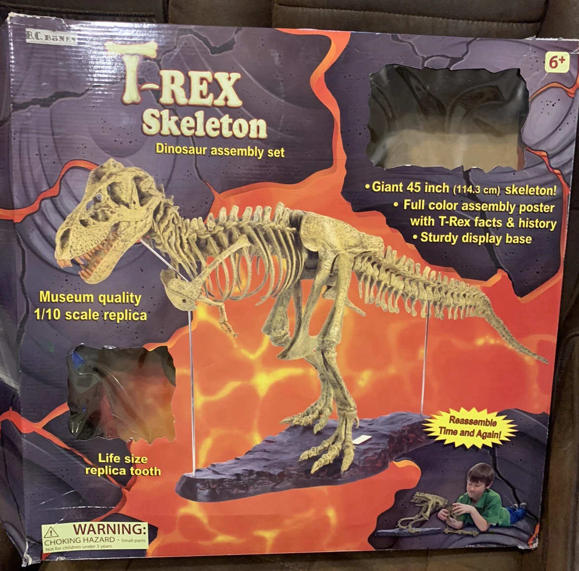 T Rex Dinosaur Bones Kit