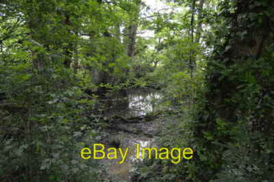 Photo 6x4 Small wooded pond East Grinstead c2016 | eBay UK