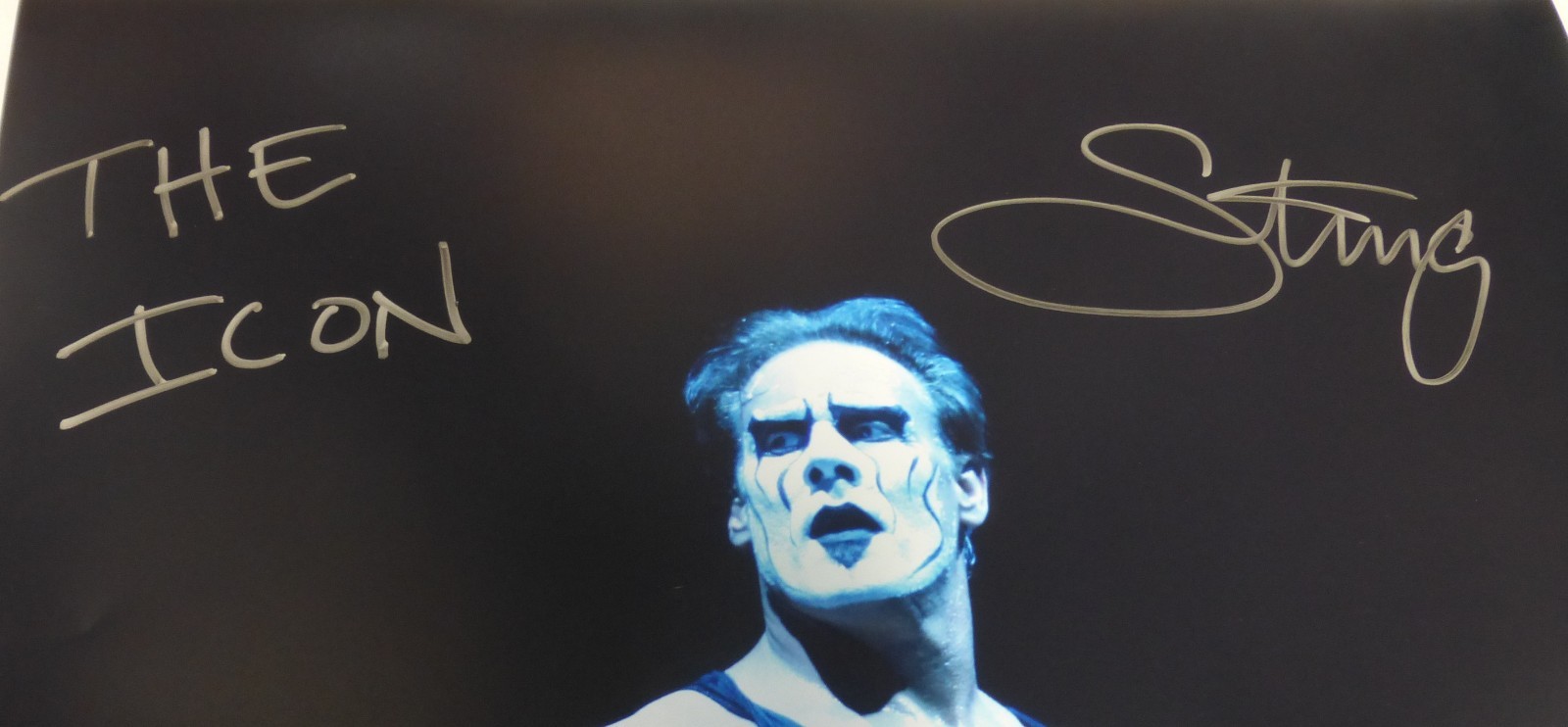 Sting Signed WWE 20x30 Photo PSA/DNA COA Picture The Icon Autograph WCW ...