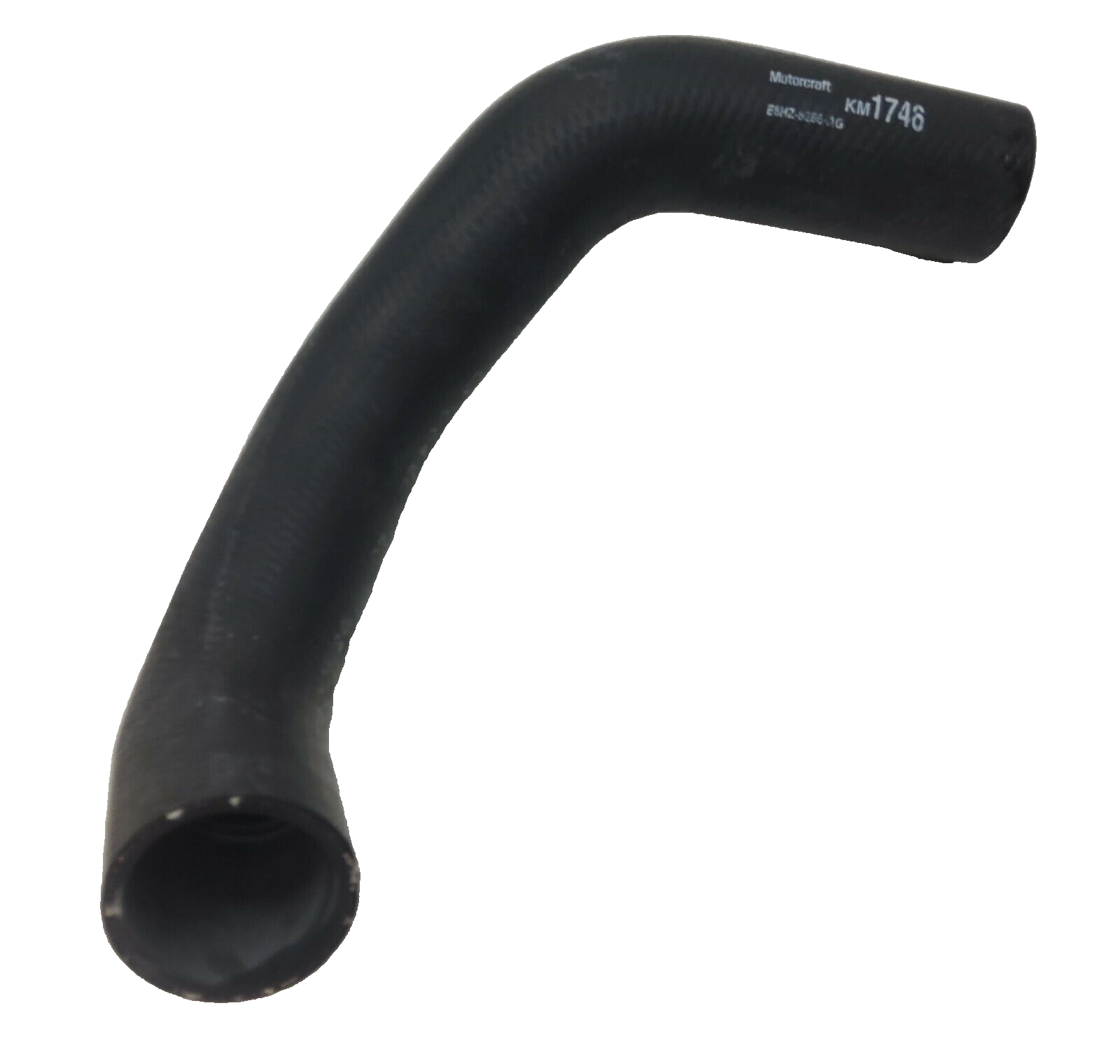 New Genuine Ford E8HZ-8286-AG Lower Radiator Coolant Hose | eBay