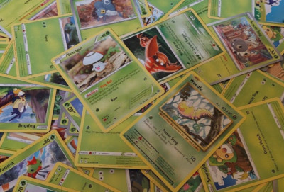 Pokemon TCG Bulk Lot - 100 Grass-Type Common/Uncommon Pokemon, no ...