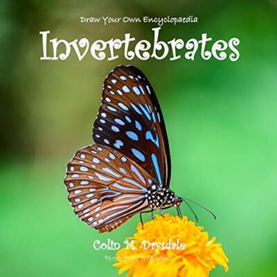 Draw Your Own Encyclopaedia Invertebrates 9781909832459| eBay