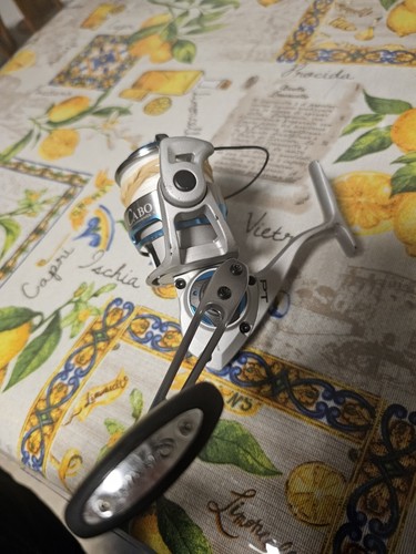 Quantum Cabo CSP50 PT Performance Tuned Spinning Saltwater Reel 8BB 35 ...