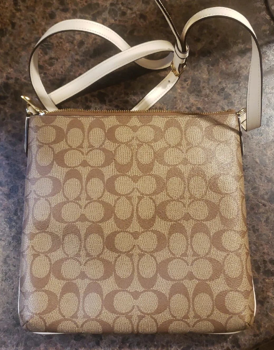 Coach C1554 Rowan File Bag in Signature Canvas Crossb… - Gem