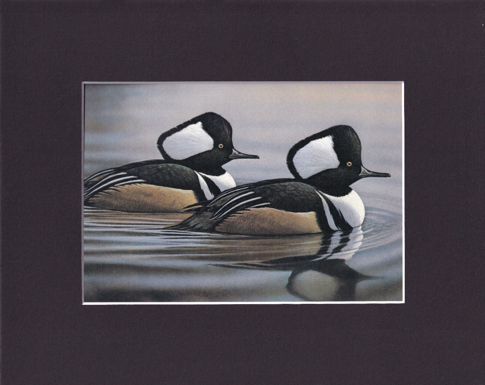 8X10 Matted Picture Stamp Ducks Art Print: Samuel Timm, Hooded ...