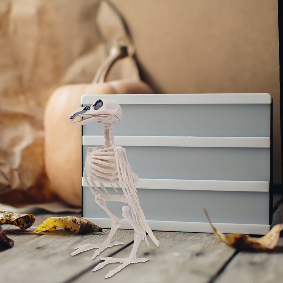 2 Pcs Halloween Skeleton Crows Model Props Reusable Decoration | eBay