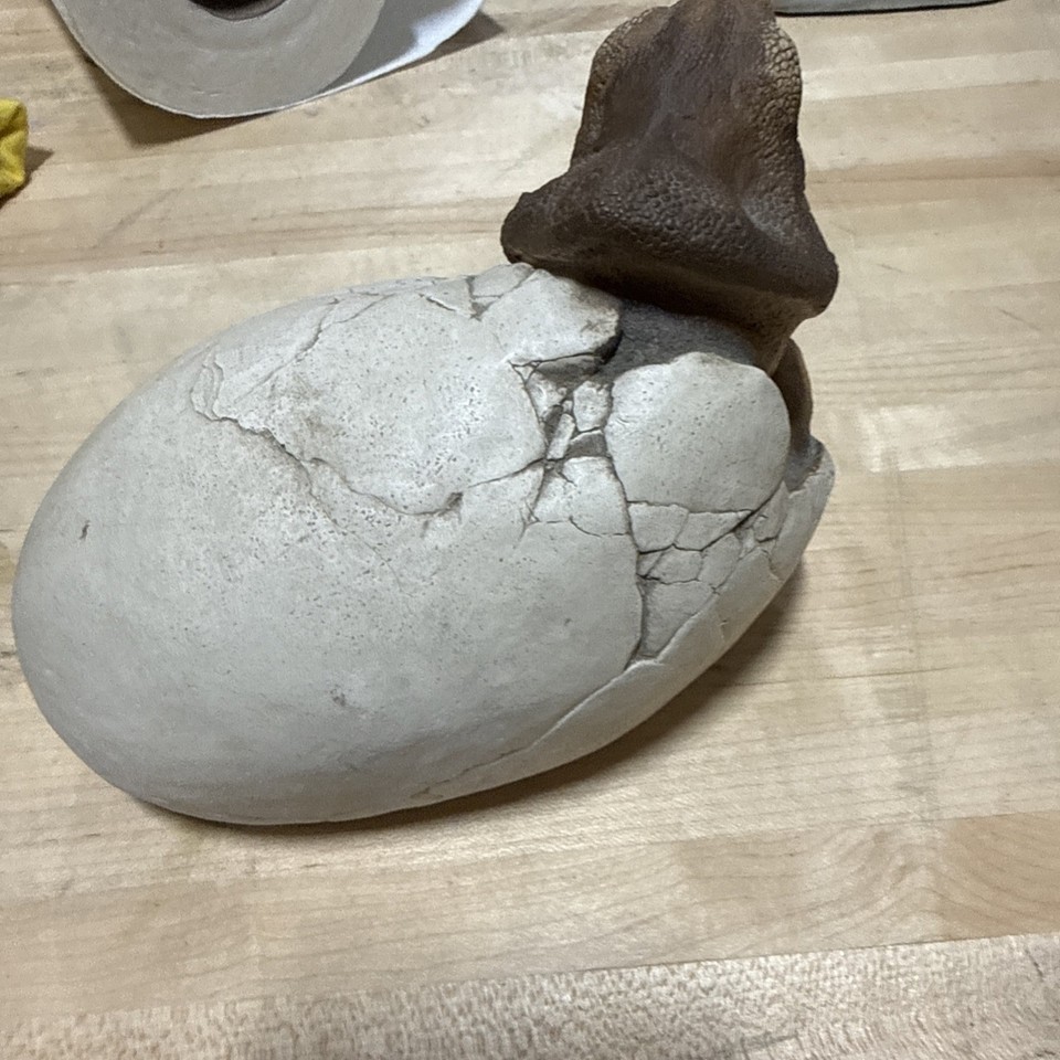 Windstone Editions Baby Protoceratops Hatching Egg Sculpture Peña ©1986 ...