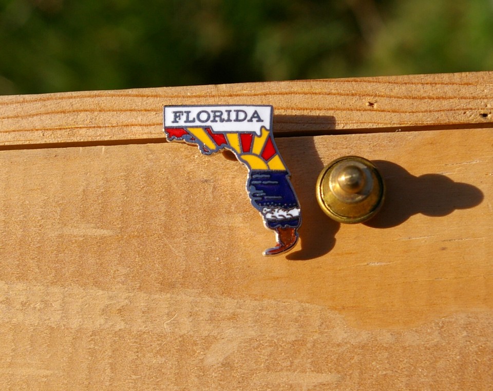 Florida FL State Silver Tone Metal & Enamel 1 1/8" Lapel Pin Pinback | eBay