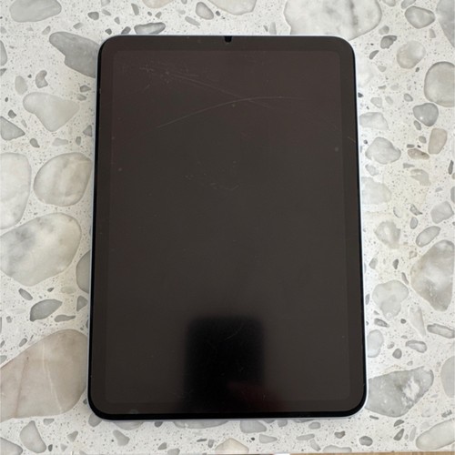 Apple iPad mini Tablet Gray 8.3 in Screen Size iPad mini Series ...