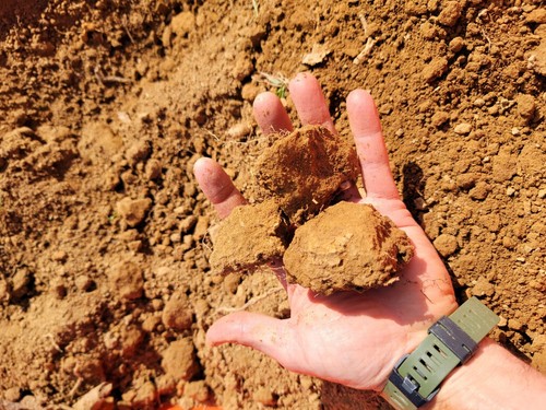 North Carolina Red clay/ dirt unsearched Aprox 5 Lbs | eBay