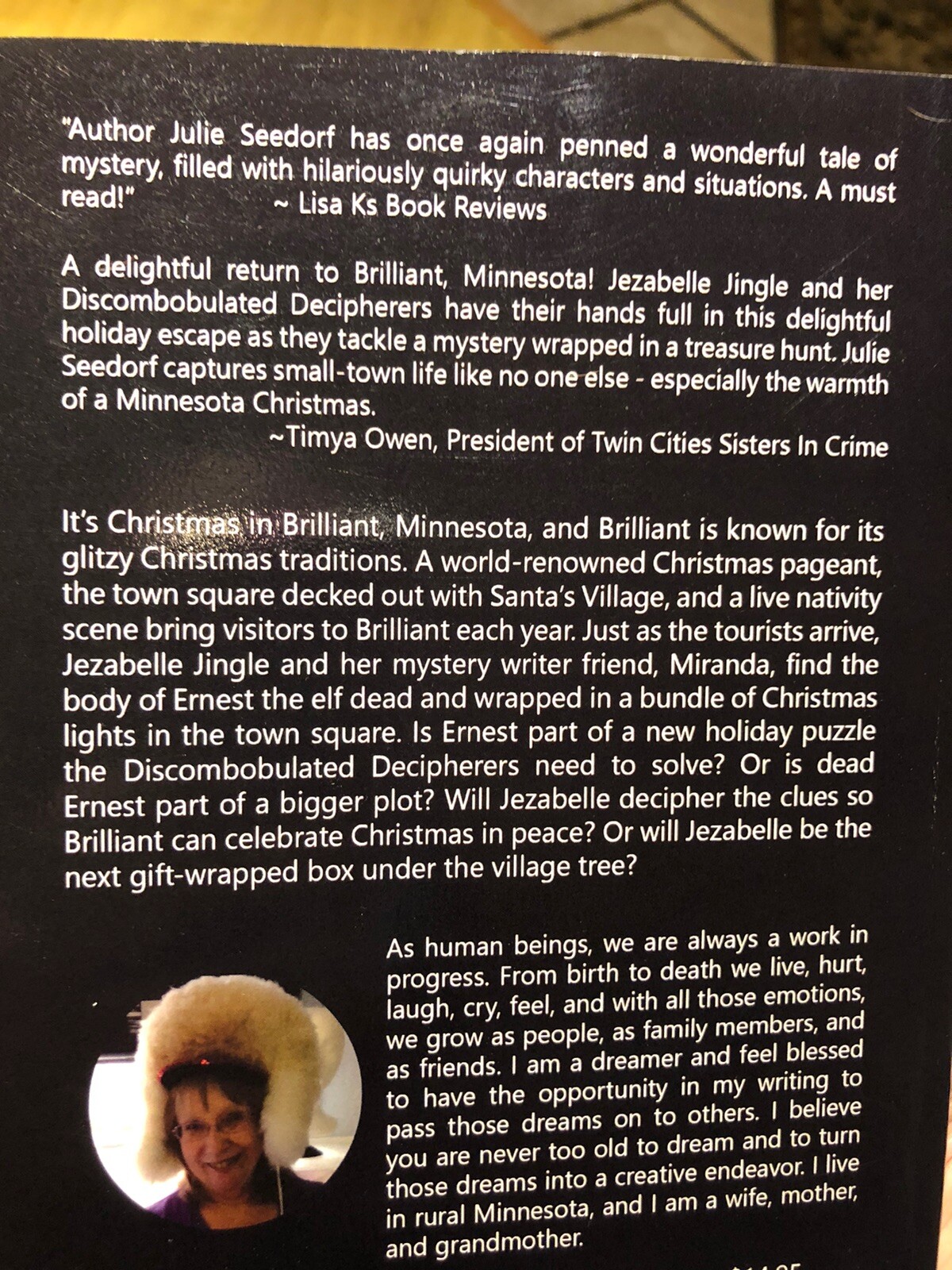 Brilliant Minnesota Ser.: The Discombobulated Decipherers : A Brilliant ...