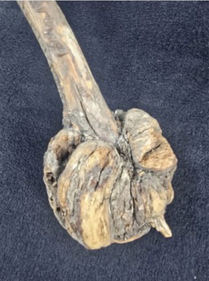 Carved Burl Wood Root Knot Ball War Club Stick Weapon Cudgel Hammer 25 ...