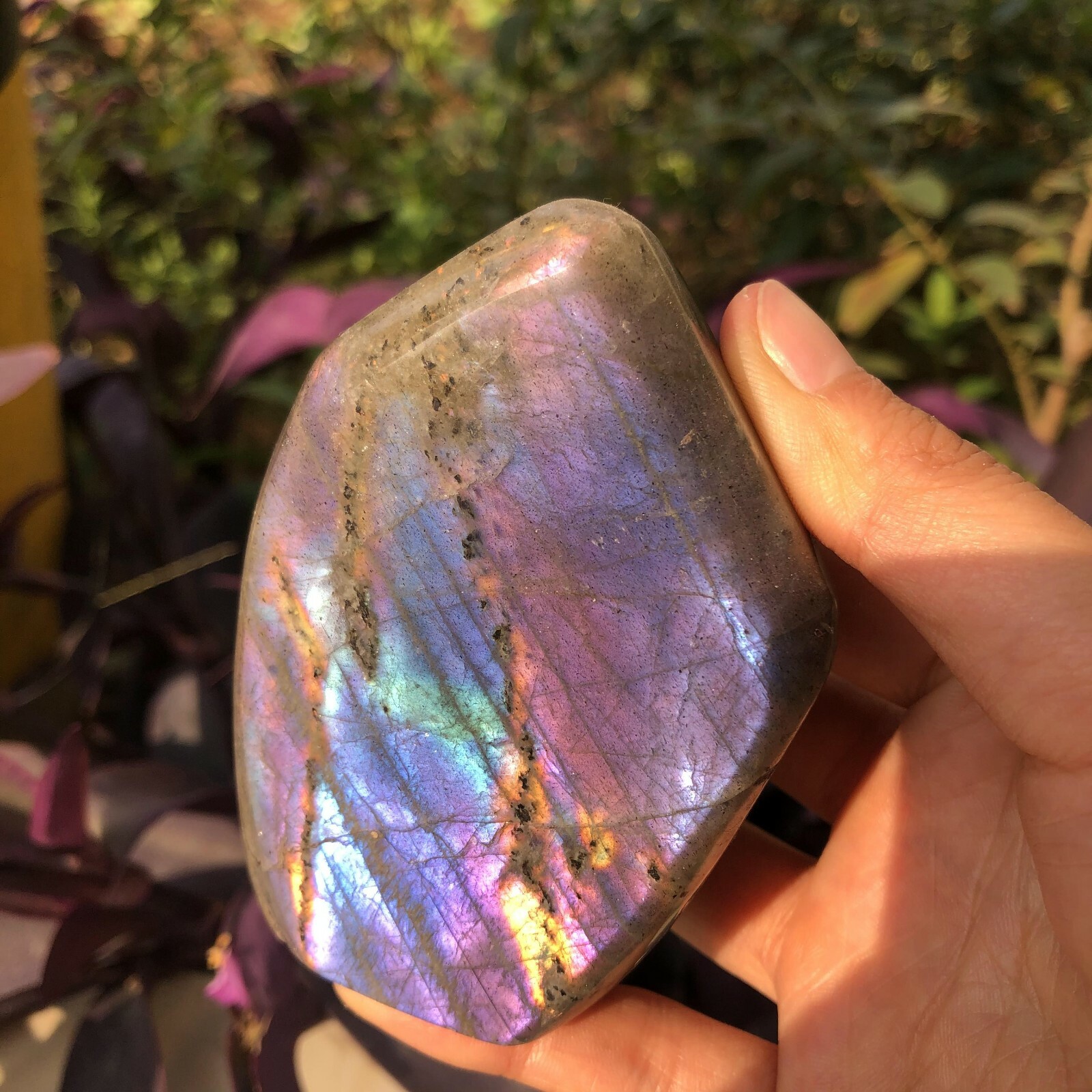 295g Natural Purple Labradorite Freeform Crystal Gemstone ...